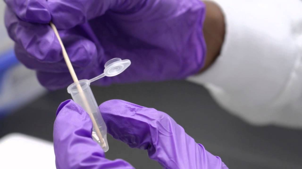 How a sexual assault kit is processed - YouTube