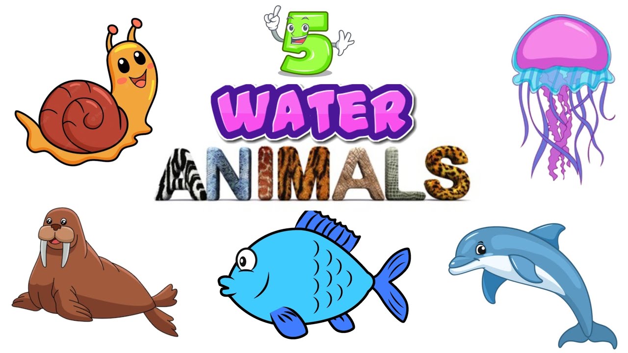 5 जलीय जीवों के नाम|Water Animals Name With Their Video|#animals # ...