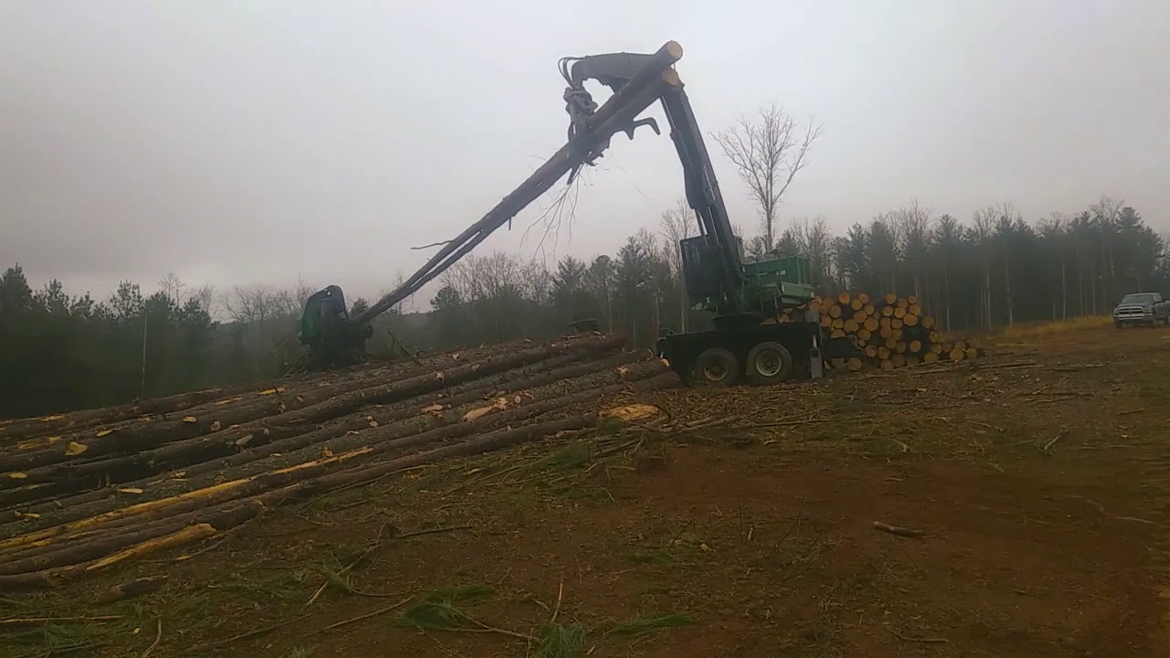 FELLER BUNCHER, SKIDDER AND LOADER LOGGING !!! - YouTube