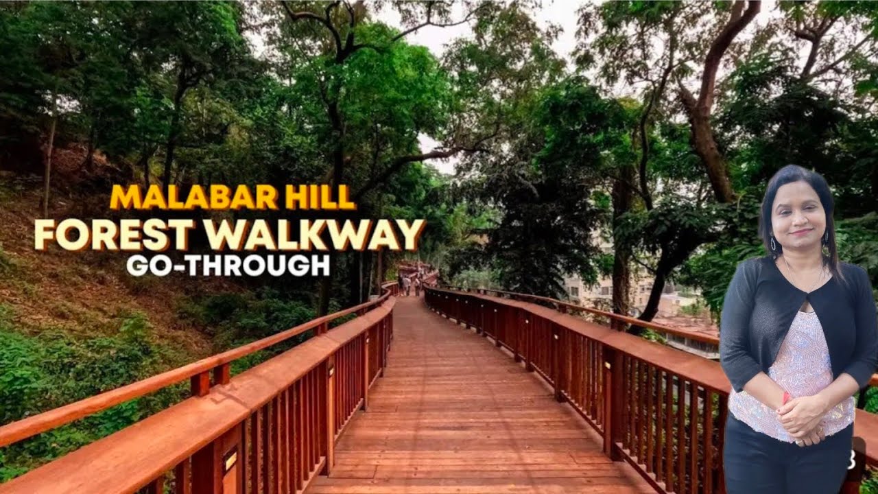 Mumbai's 1st elevated nature trail #singapore style forest walkway ...