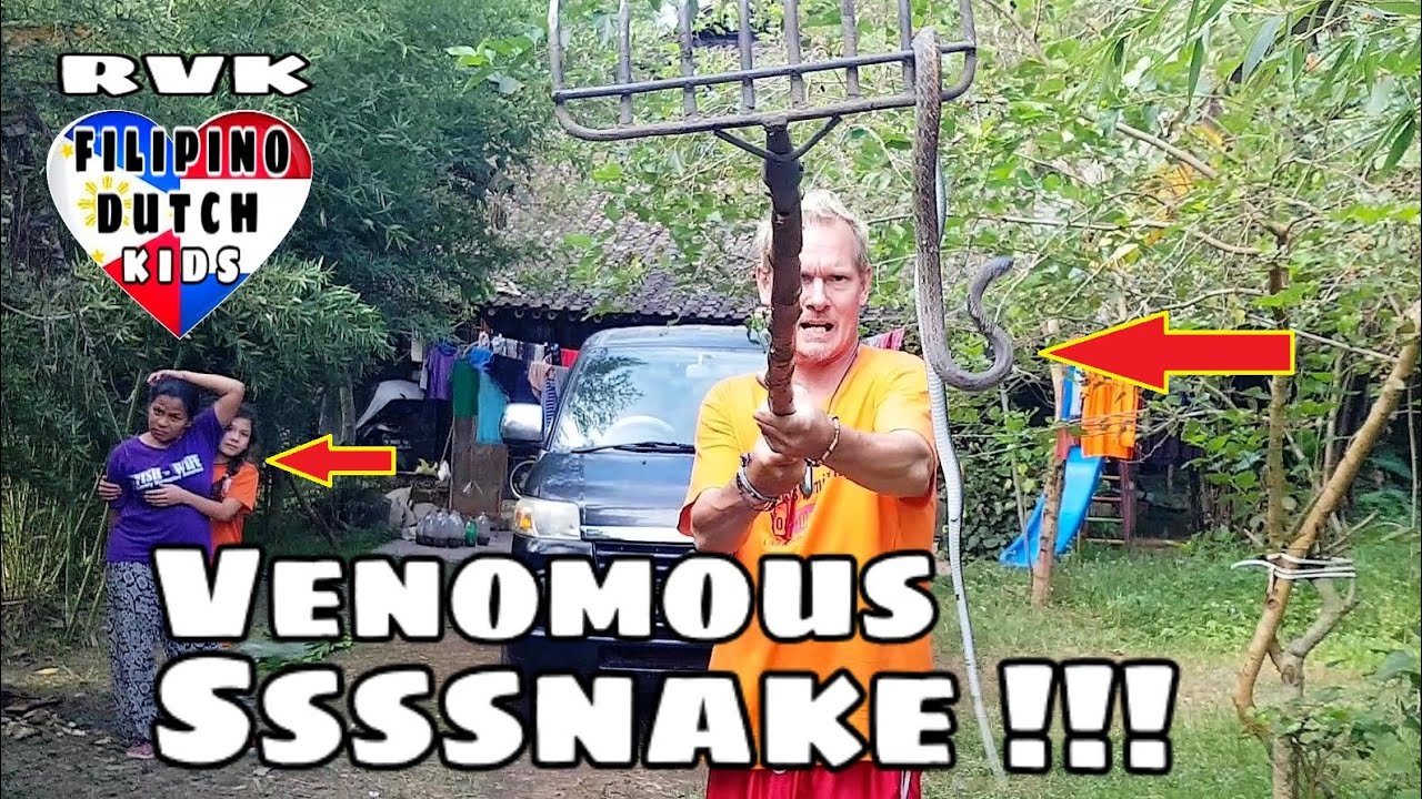 SNAKE!!! Dad found snake in our yard #251 👨‍👩‍👧‍👦 RodVivKids Family ...