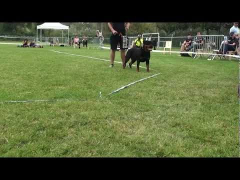 FRANCAIS KS 23.09.12 OPEN CLASS FEMALES.mp4