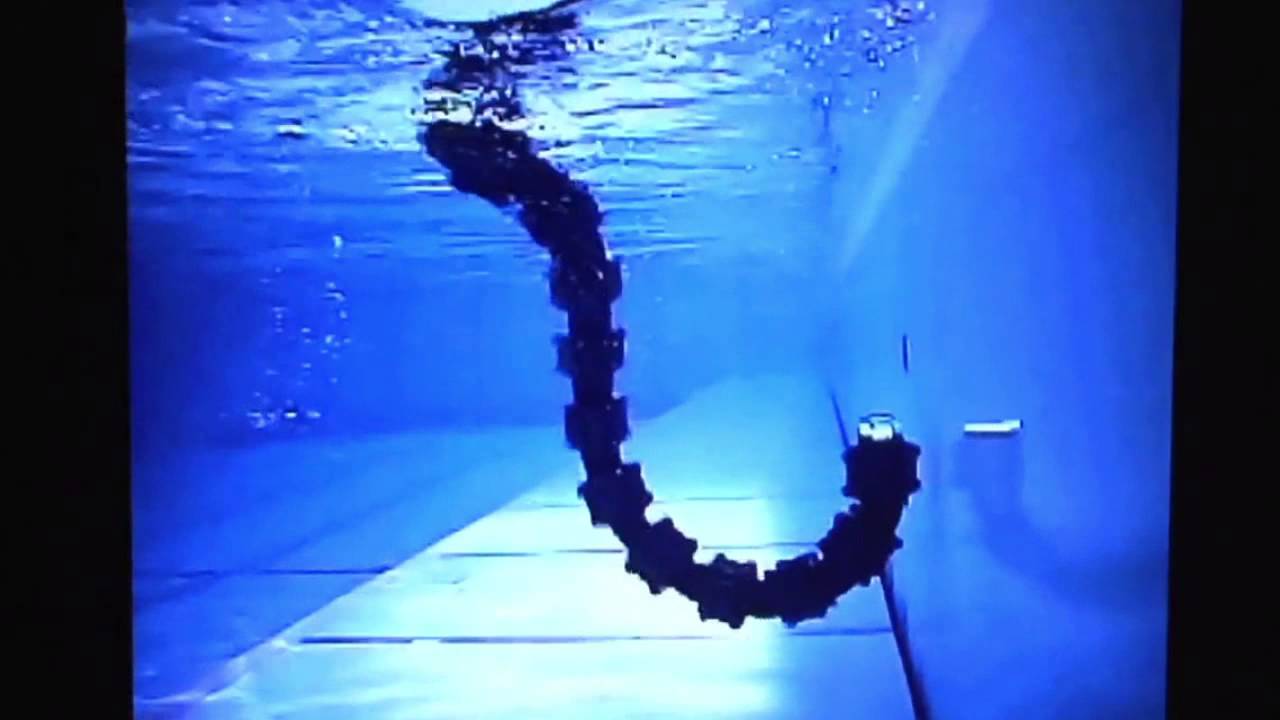 Amphibious Snake Robot - YouTube