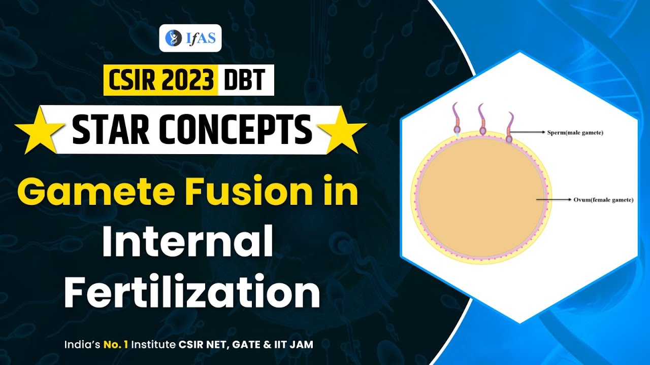 GAMETE FUSION IN INTERNAL FERTILIZATION i CSIR2023 I DBT I - YouTube