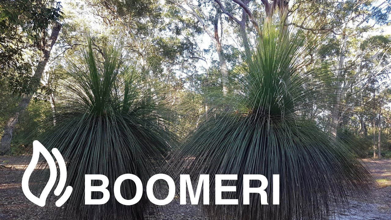 Boomeri Campground - Myall Lakes National Park, NSW - YouTube
