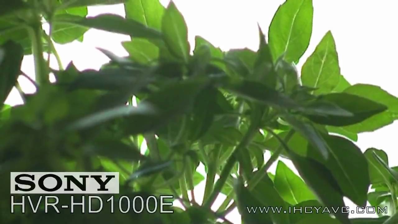 SONY HVR-HD1000E TEST001 720HD - YouTube