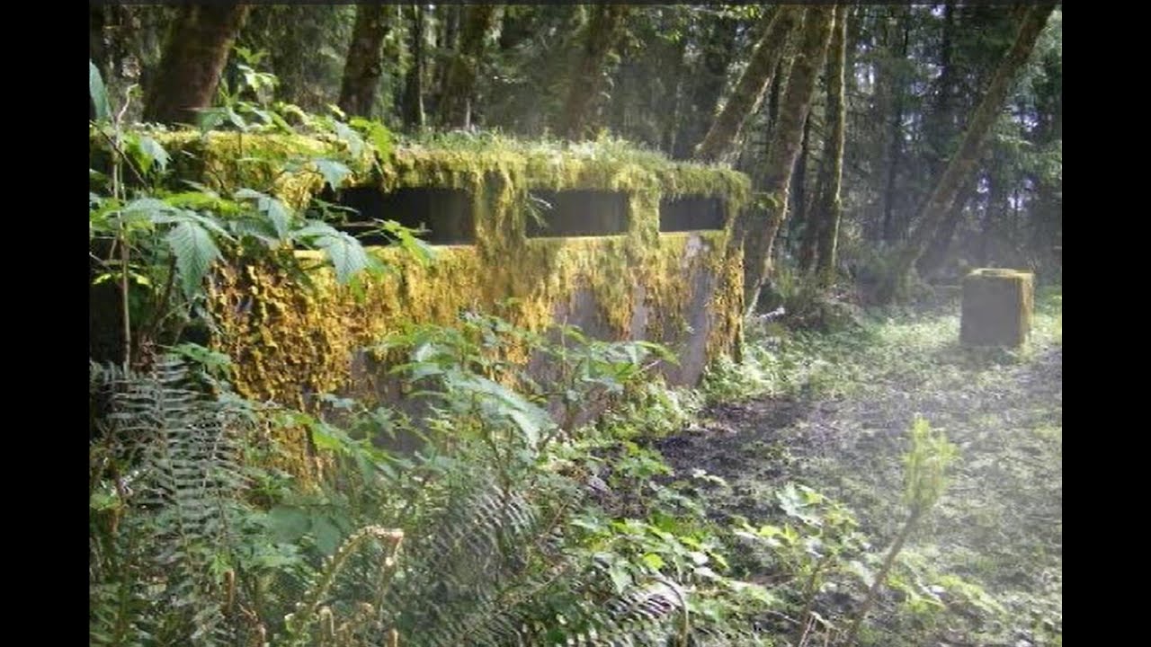 We found an abandoned WWII bunker while hiking at Ecola State Park ...
