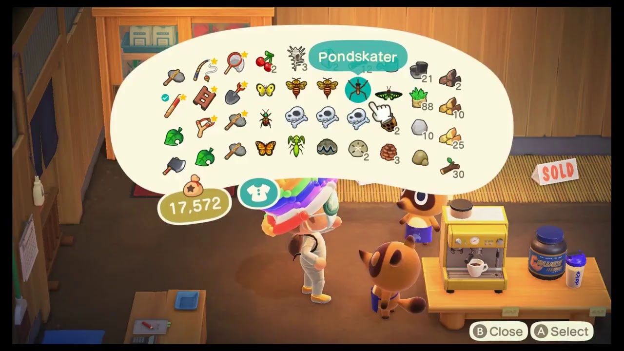 Animal Crossing Day 12 Routine morning Time - YouTube