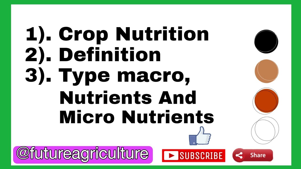 Crop Nutrition,Definition. Type Macro,Nutrients And Micro Nutrients ...