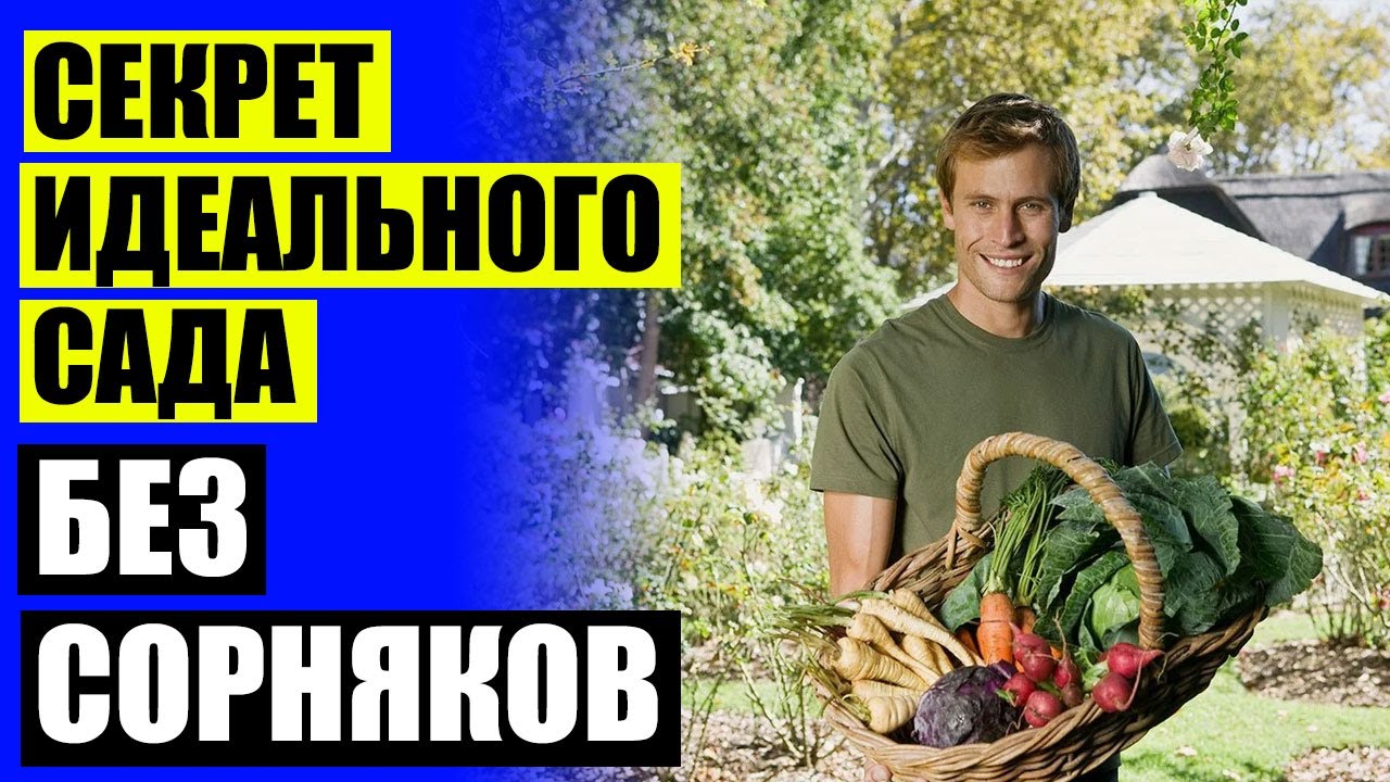 КАК ИЗБАВИТЬСЯ ОТ СОРНЯКА ВЬЮНКА В ОГОРОДЕ 🤘 СРЕДСТВО ОТ СОРНЯКОВ ДЛЯ ...