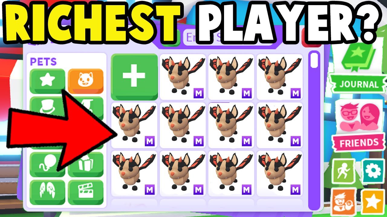 Who's the RICHEST Adopt Me Player? - YouTube