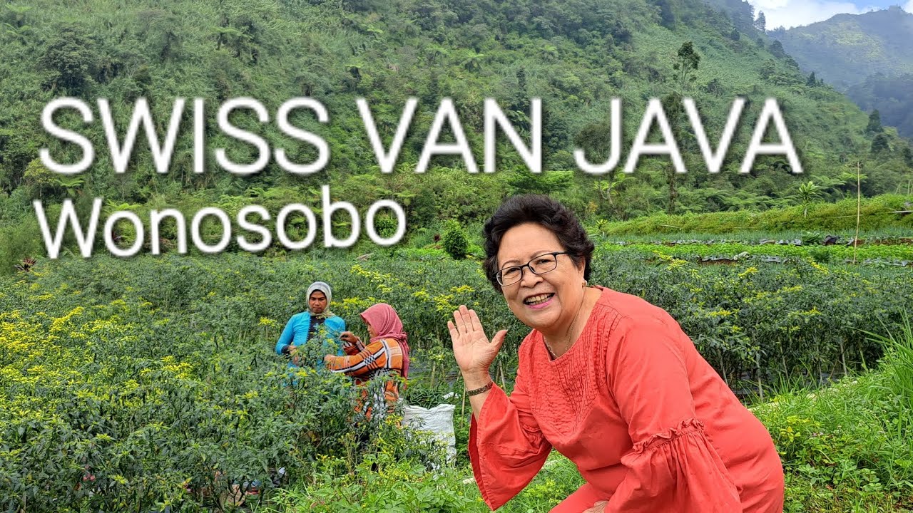 jalan2 di Swiss Van Java Wonosobo desember 2023(part.1) - YouTube