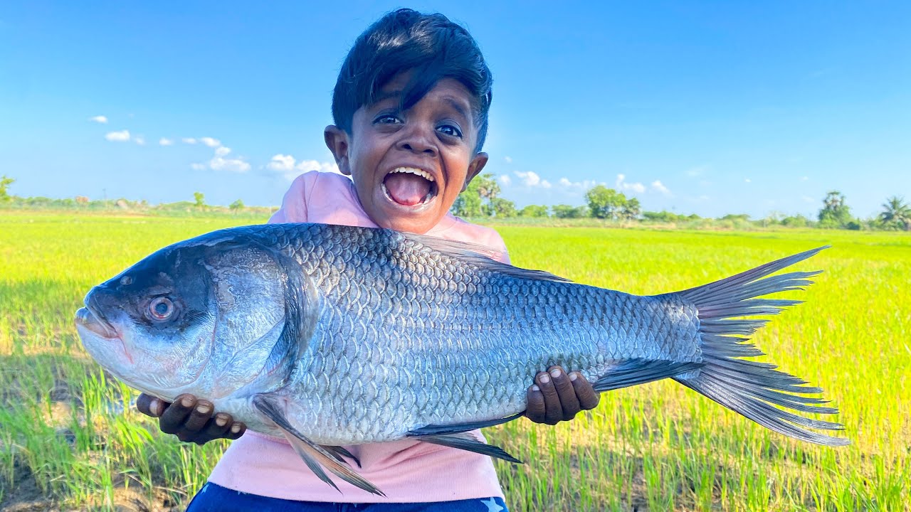 மீனை சமைக்க போராடும் குட்டிப்புலி | Kutti Puli cooking big fish | kutti ...