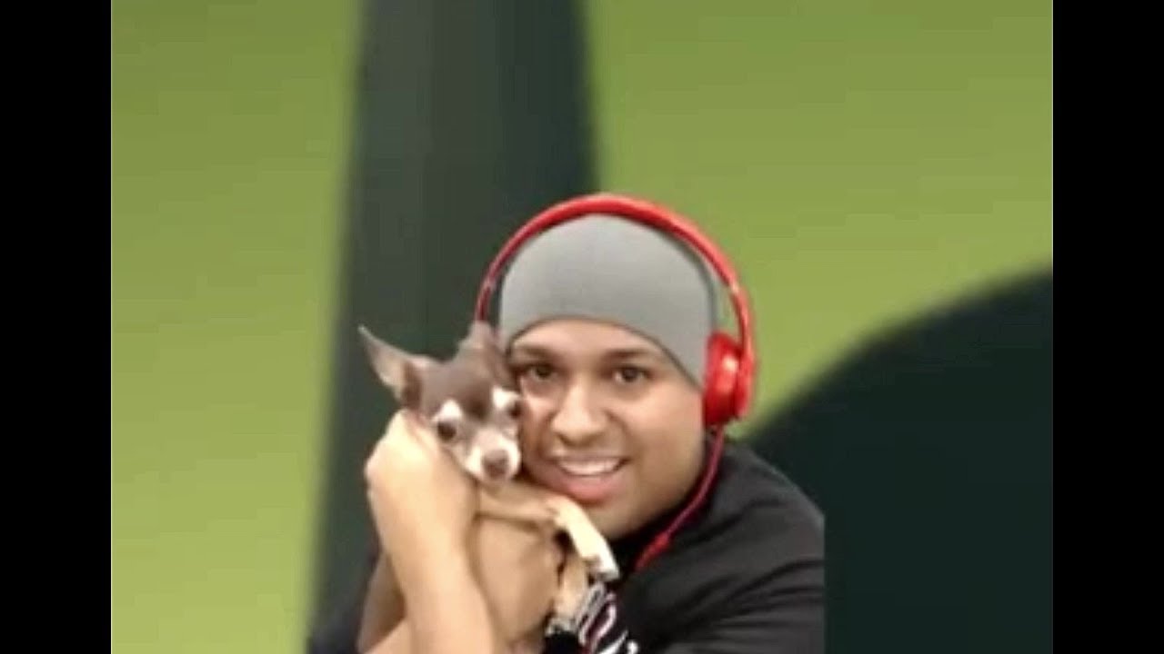 Dashie and BB on LiveStream - YouTube