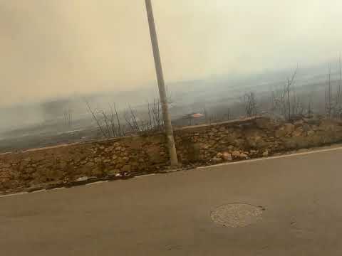 DESASTRE Las sequelas del fuego gigante en los garres murcia 