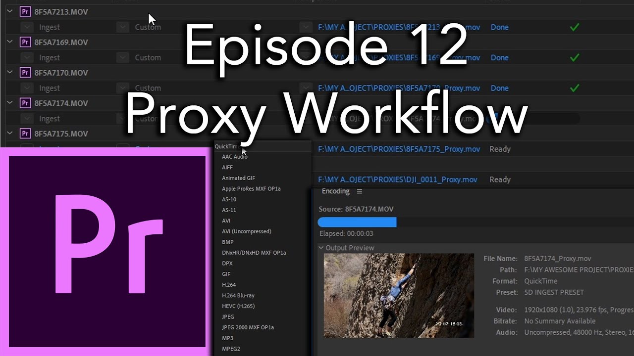 E12 - Proxy Workflow, Proprietary Method - Adobe Premiere Pro CC 2020 ...