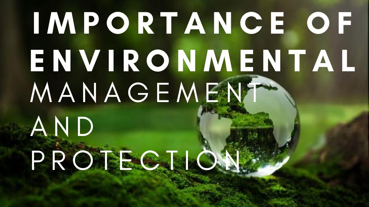 IMPORTANCE OF ENVIRONMENTAL MANAGEMENT AND PROTECTION - YouTube