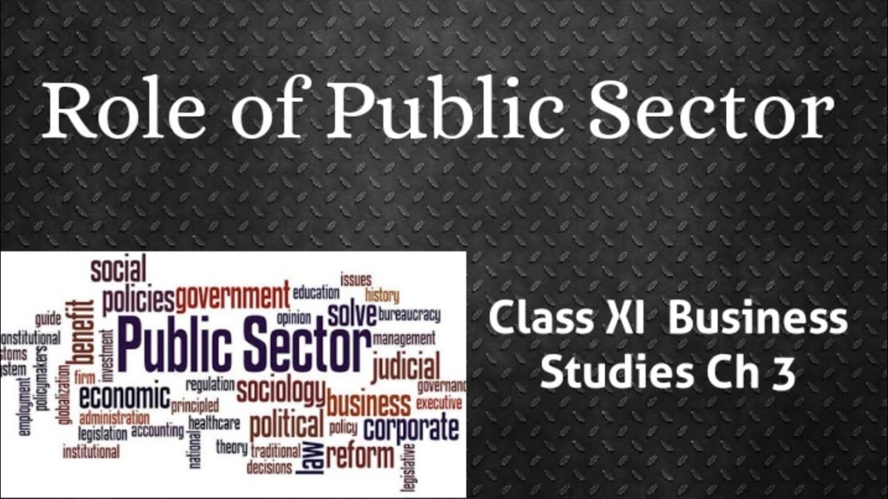 Role of Public Sector | Ch 3 | Class 11 | Business Studies | CBSE - YouTube