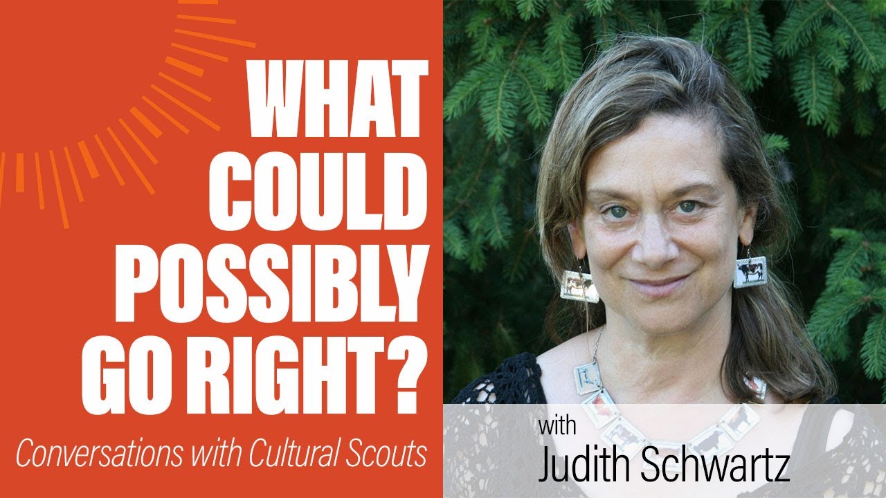 Judith D. Schwartz | What Could Possibly Go Right? - YouTube
