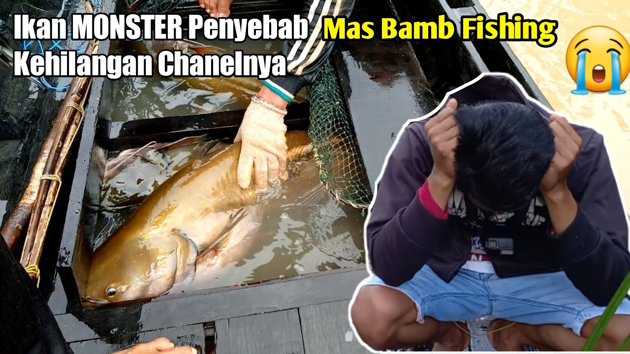WASPADA‼️Gara-Gara Ikan Tapah Waktu Mencari Video Ini MAS BAMB FISHING ...