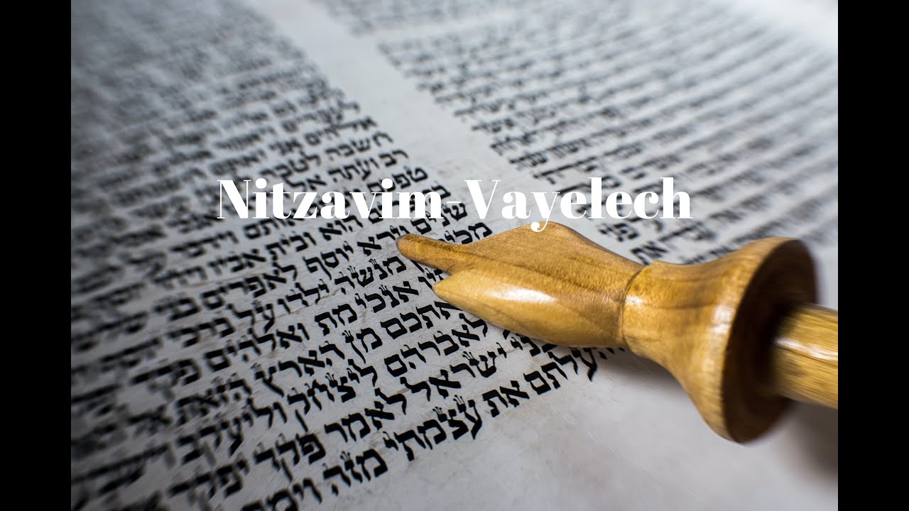 Parsha Nitzavim-Vayelech - The Torah is for Everyone - YouTube