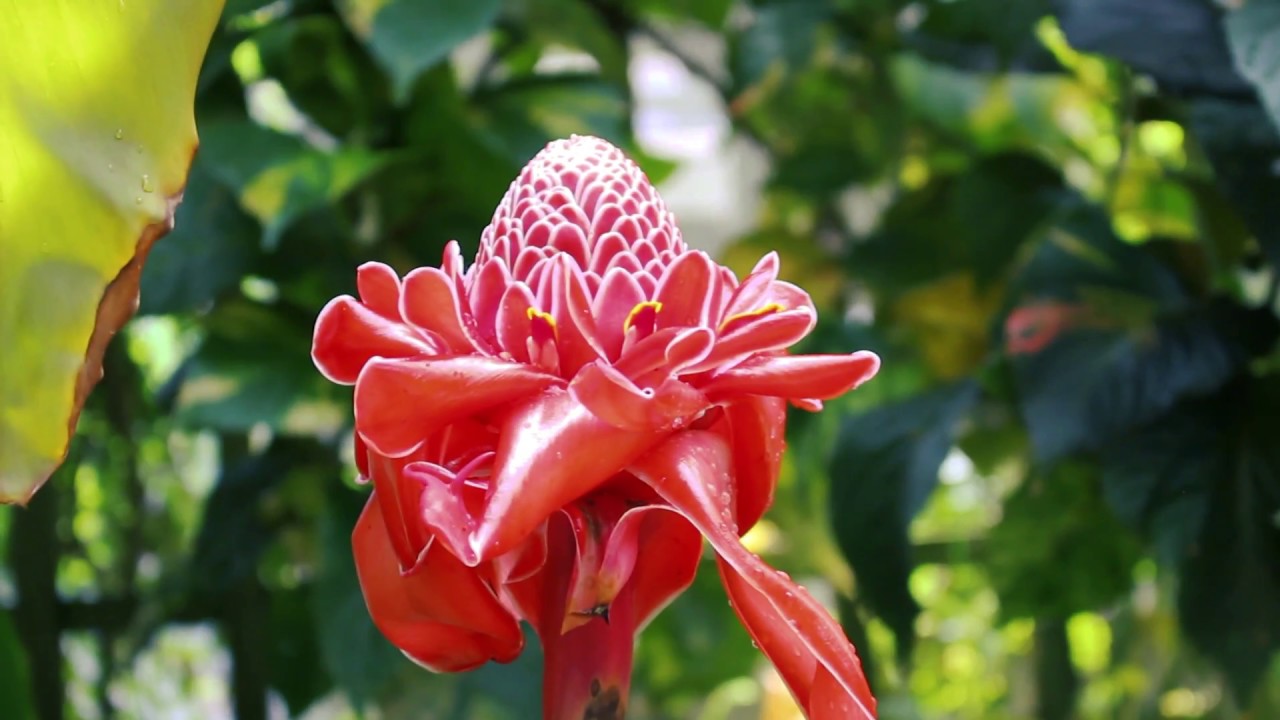 MOBOT Mo'Betta - YouTube