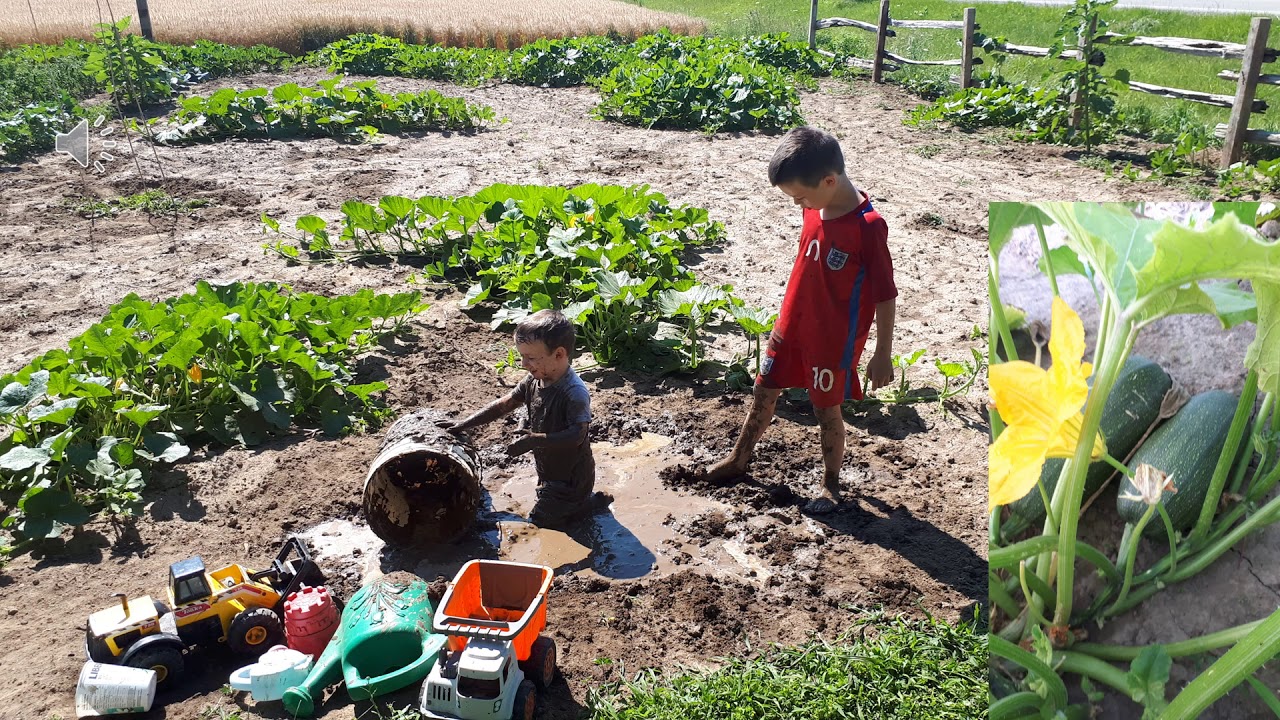 Plant Walk #8 Vegetables Part 2 - YouTube