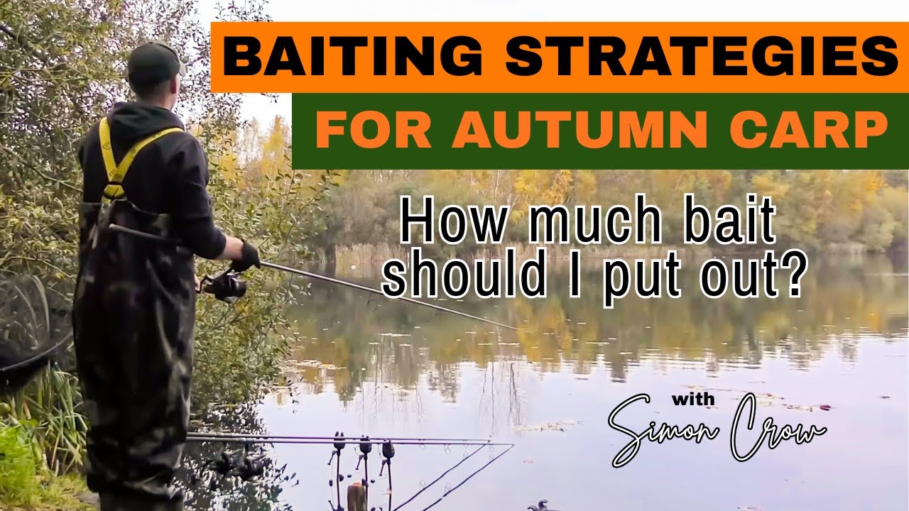 Autumn baiting strategies for CARP - YouTube