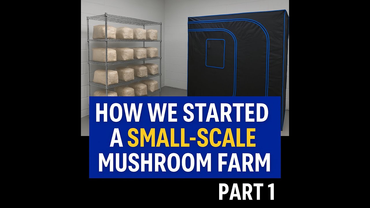How We Started Our Small-Scale Mushroom Farm in 2025 | Part 1 - YouTube