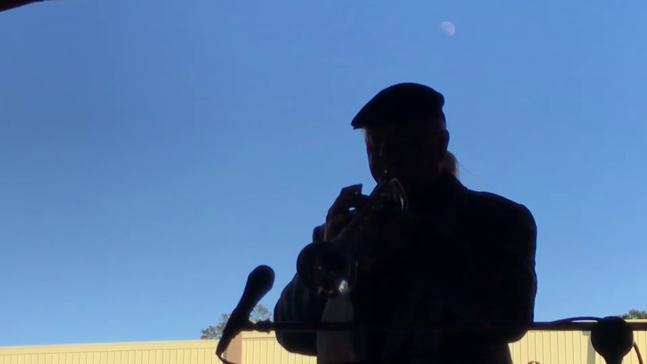 Ray Coley music - Lonesome Bull - YouTube