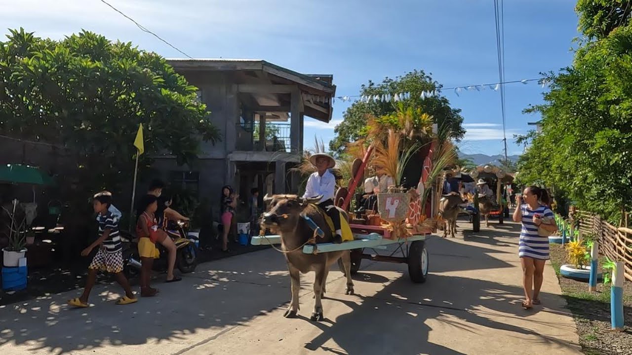 CARABAO PARADE/CELEBRATING BARANGAY FIESTA IN THE PHILIPPINES - YouTube