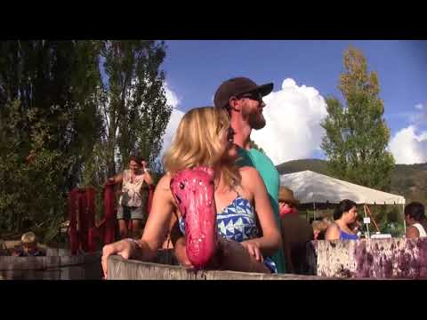 JULIAN GRAPE STOMP FESTA