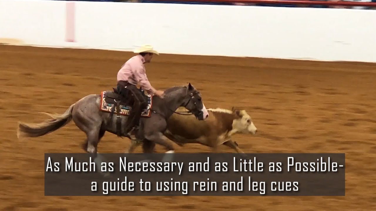 As Much as Necessary and as Little as Possible-A Guide to Rein and Leg ...