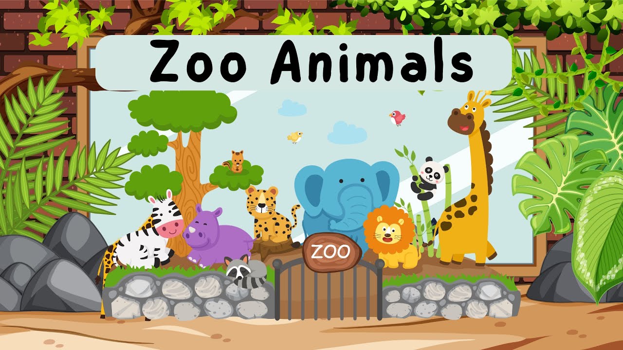 Learn About Zoo Animals | Schooling - YouTube