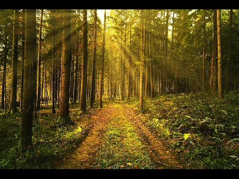 2 DAKİKADA UYKUYA DAL,ZİHNİNİ BOŞALT #rahatlama #meditation #uykumüziği #uyku #meditasyon #uyku 