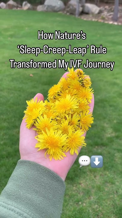 How Natures Sleep Creep Leap Rule Helped Transform My Ivf Journey Youtube