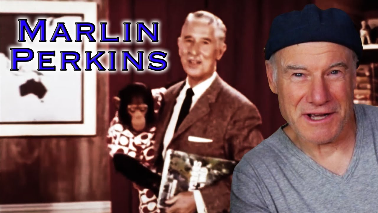 Impressionist Jim Meskimen Celebrity Fortune Cookie | 2023 | Day 143 ...