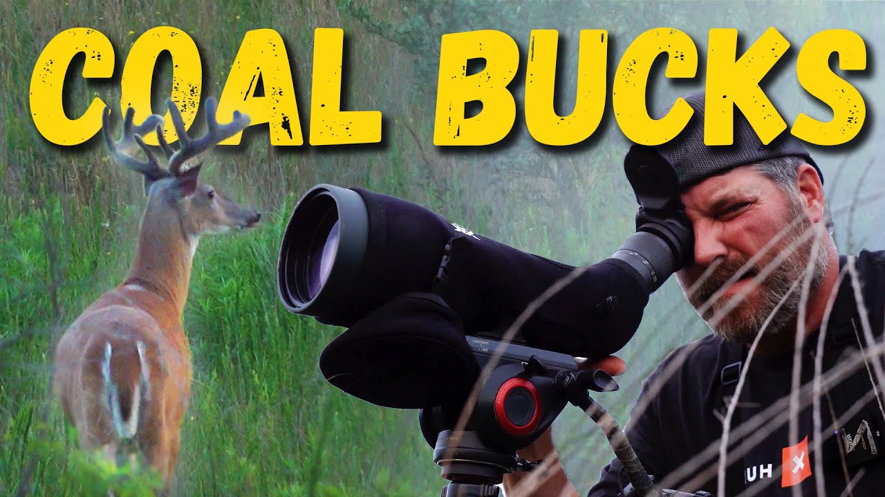 MOUNTAIN BUCKS in COAL COUNTRY w/ Josh Ilderton - YouTube