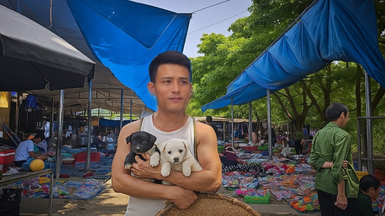 CEO Trieu Phong quits City's life: Wilderness, Off Grid life, Selling ...