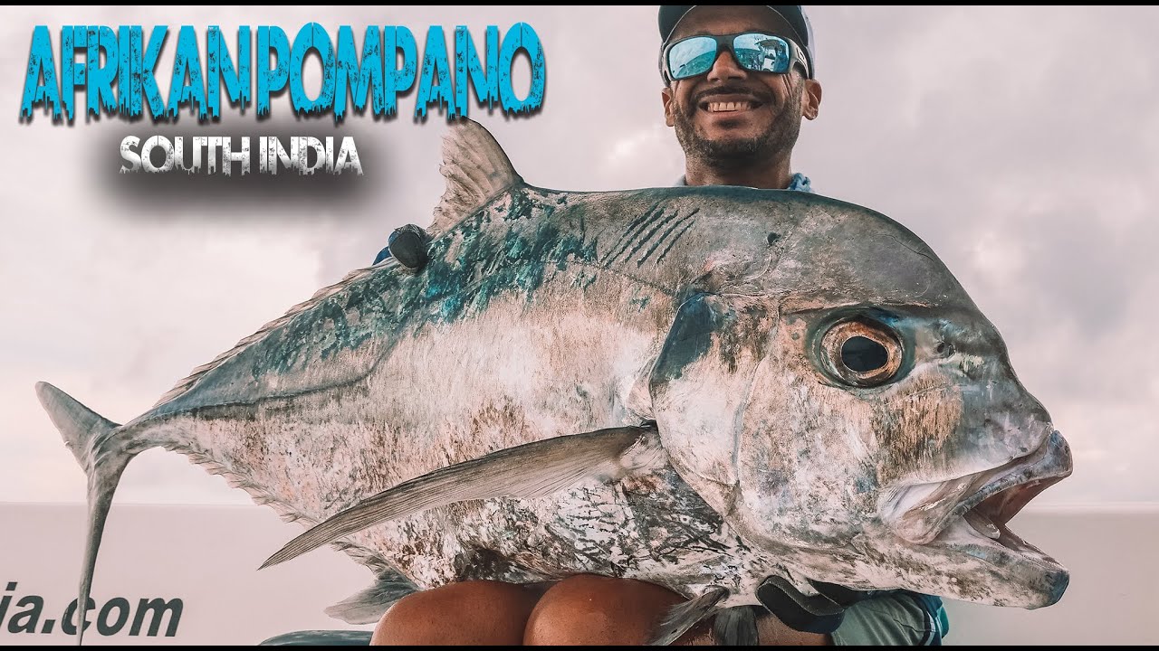 ISLAS SENTINEL DEL SUR DE LA INDIA AFRIKAN POMPANO | ANDAMAN ISLANDS ...
