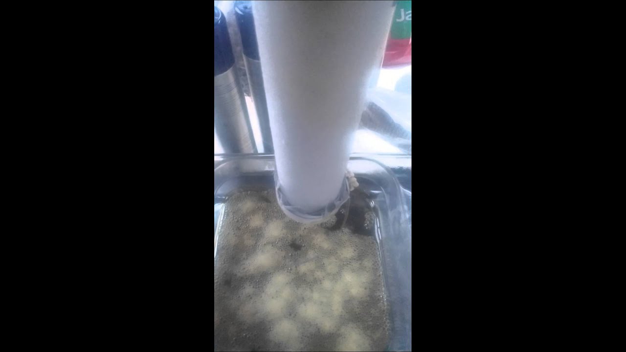 Butane cannabis Extraction - YouTube