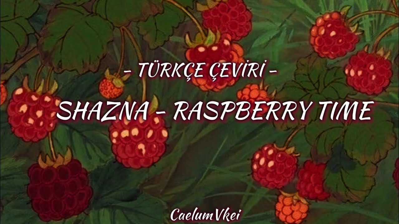 SHAZNA- Raspberry Time// TÜRKÇE ÇEVİRİ - YouTube