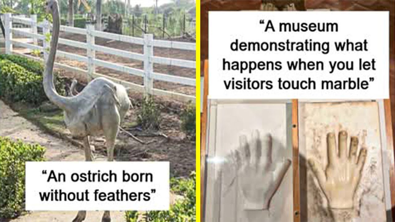 Moments When People Snapped Photos of the Random Things They Discovered ...