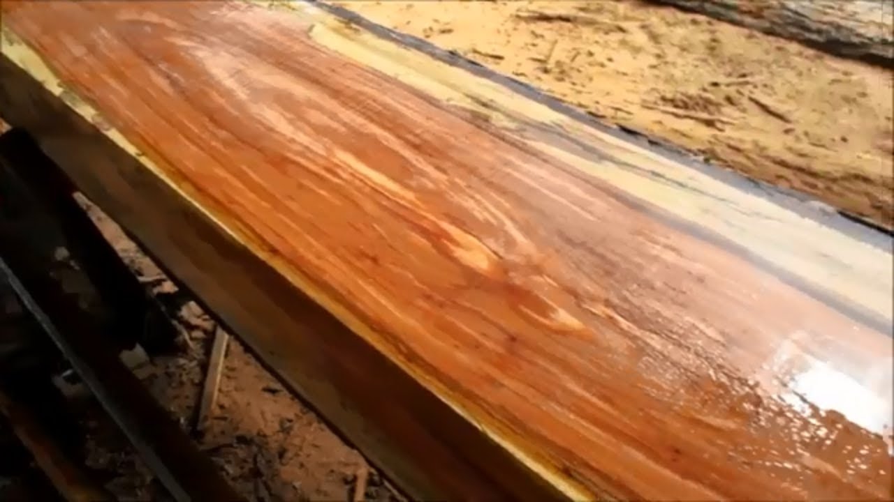 Sawmill Cutting Old Texas Pecan Logs into Slabs with woodmill - YouTube