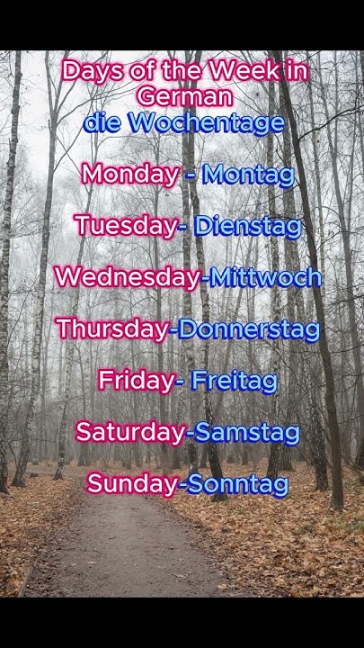 Days of the Week in German /die Wochentage 🇩🇪#learngerman # ...