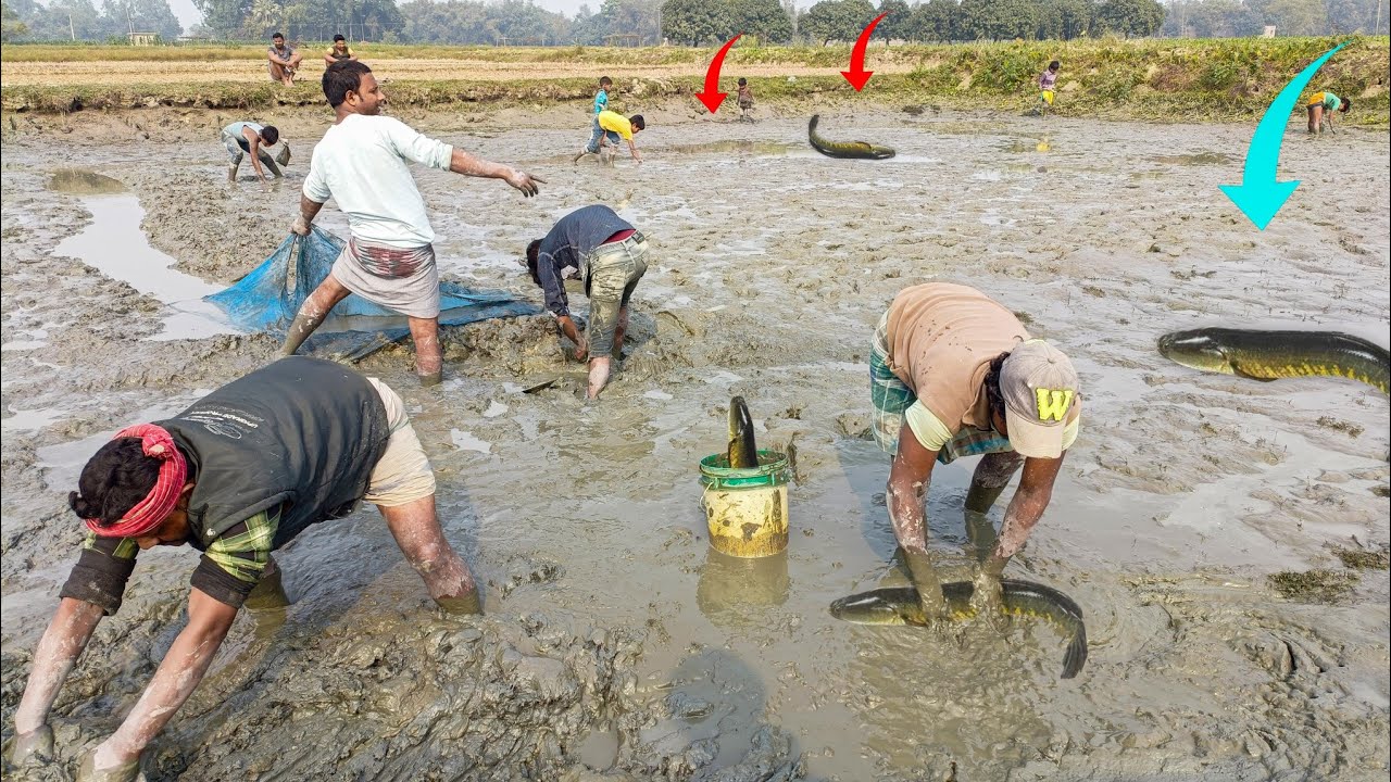 Hand Fishing Video | Village Man Fishing Skills | Different Types Fish ...