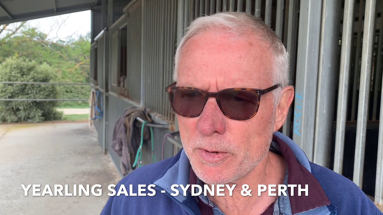 GEORGE’S STABLE Update 21/2 - YouTube