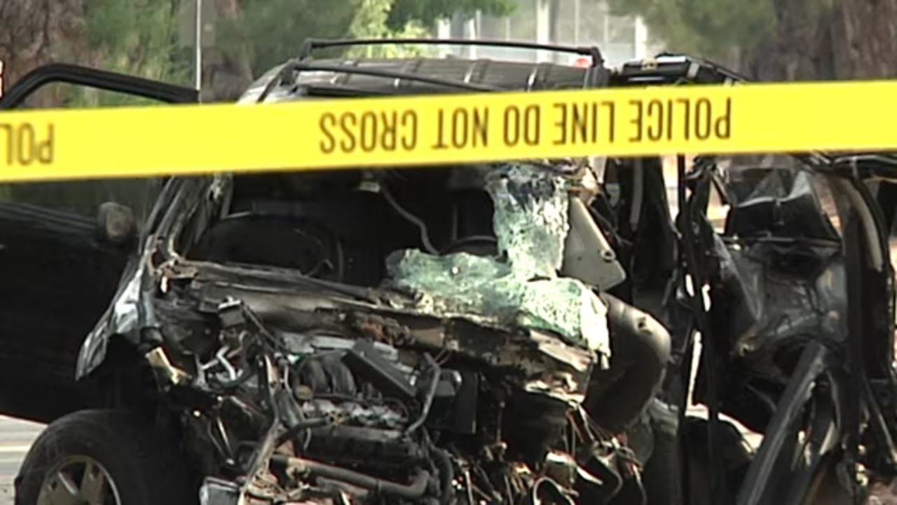 2 Dead, 2 In Trauma After Vehicle Crashes Into Tree On Miami Beach ...