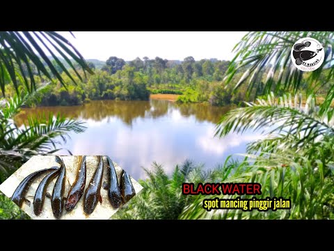 SPOT MANCING HOT PINGGIR JALAN ‼️ CASTING DI AIR HITAM