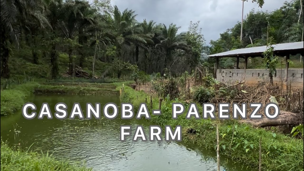 TADASE CEBOLIN TRENTO AGUSAN DEL SUR | VACATION - YouTube